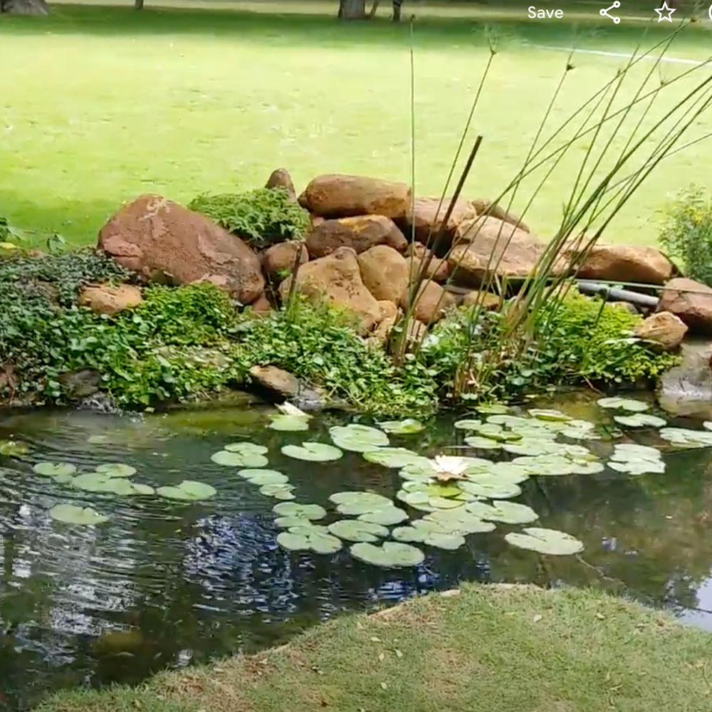 Living Aquatic Systemz – Your go-to destination for comprehensive water ...